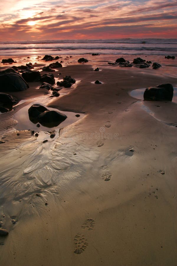 Oregon coast portraits stock photo. Image of nature, pacific - 1860736