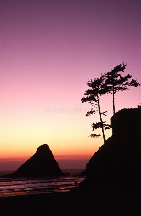 Oregon coast portraits stock image. Image of beach, surf - 2114073