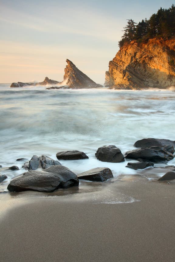 Oregon coast portraits stock image. Image of tide, tidal - 9110213