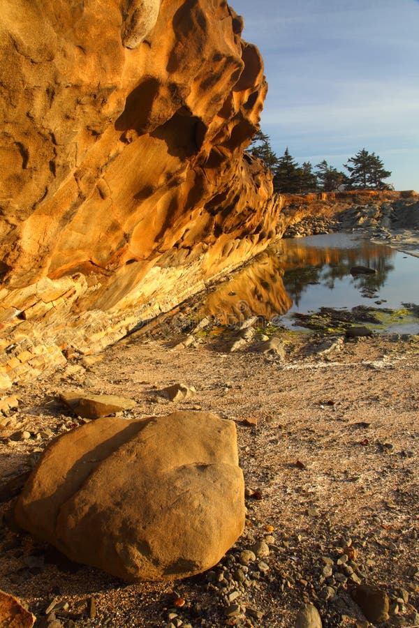 Oregon coast portraits stock photo. Image of wind, sand - 9110998