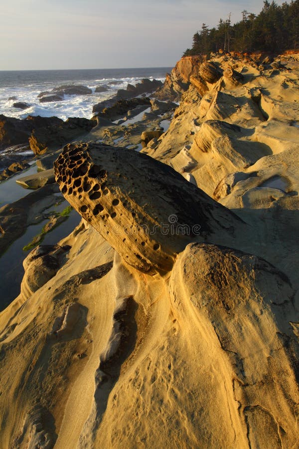 Oregon coast portraits stock image. Image of sand, shaped - 9122033