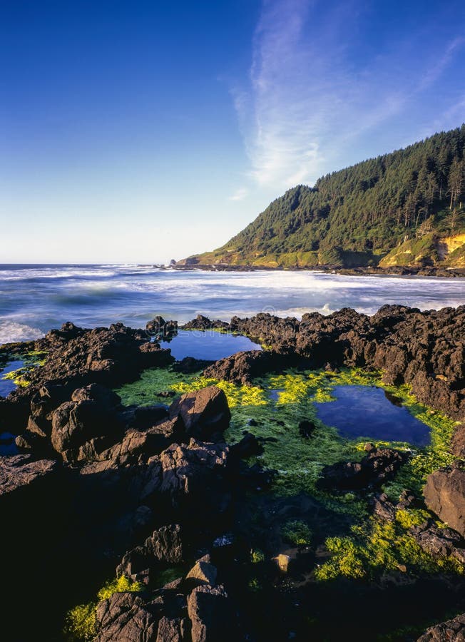 Shoreline at Low Tide Second Beach Olympic National Park Stock Photo ...