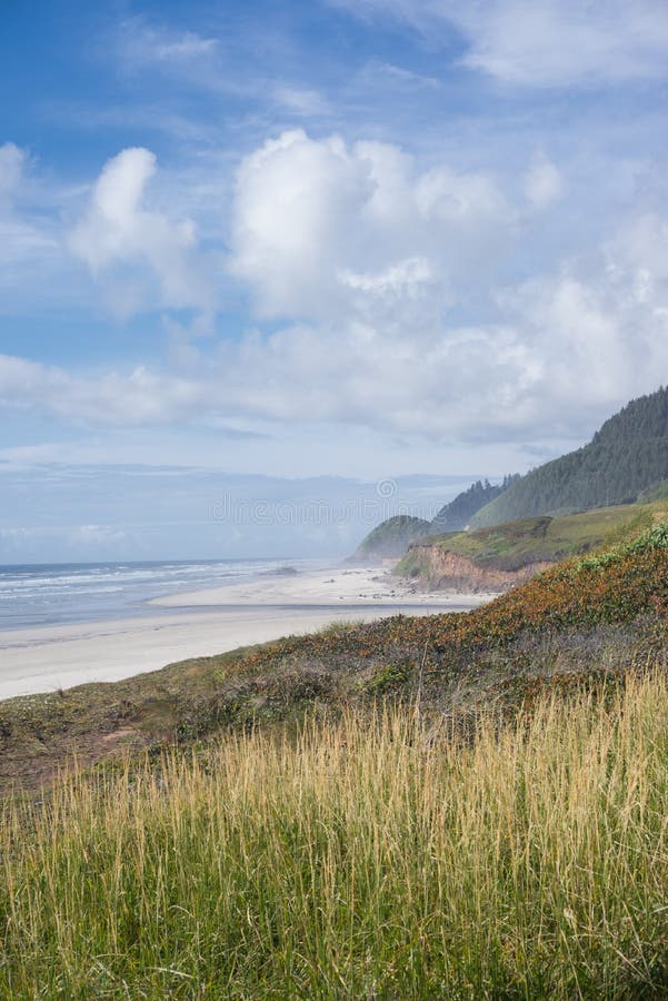 Oregon Coast spring stock photo. Image of oregon, lane - 54092326