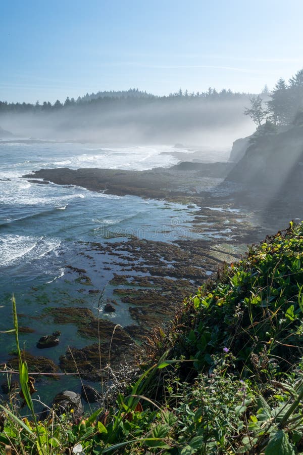 Oregon Coast View in the Fog Stock Photo - Image of view, rocks: 58946218