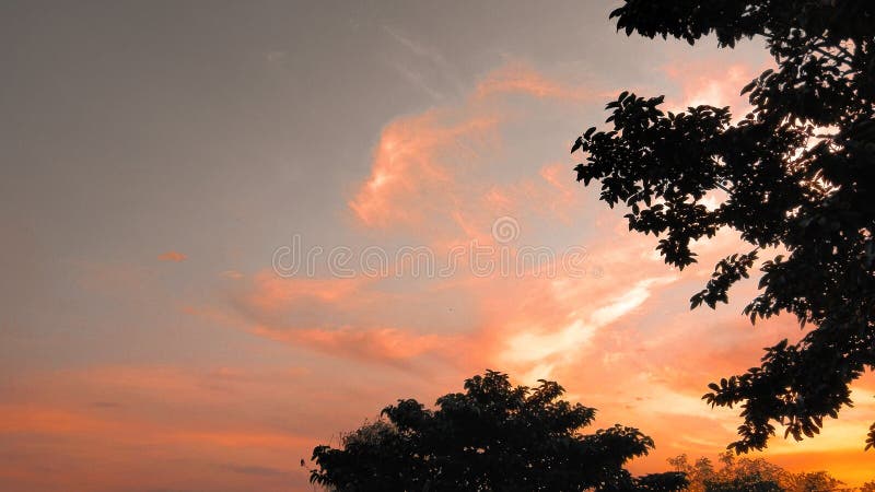 Sunset stock image. Image of green, view, sunset, filed - 130405647