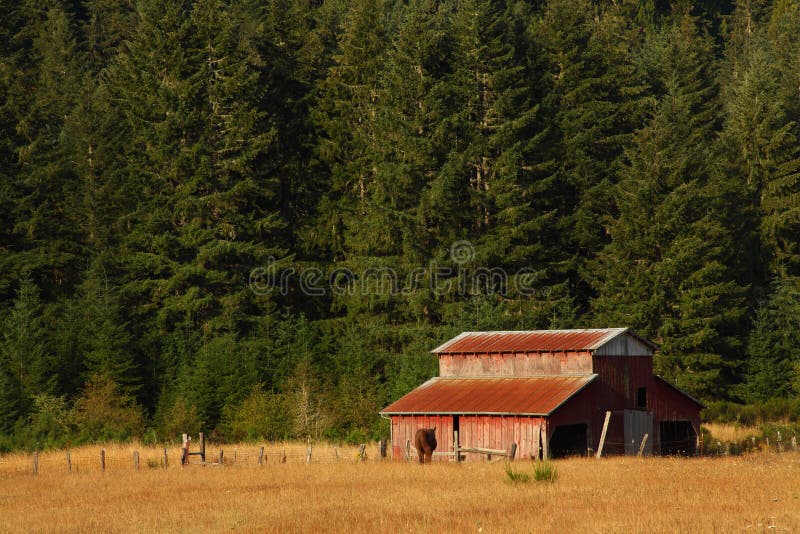 Fence Posts and Farm stock image. Image of farm, fence - 97320841