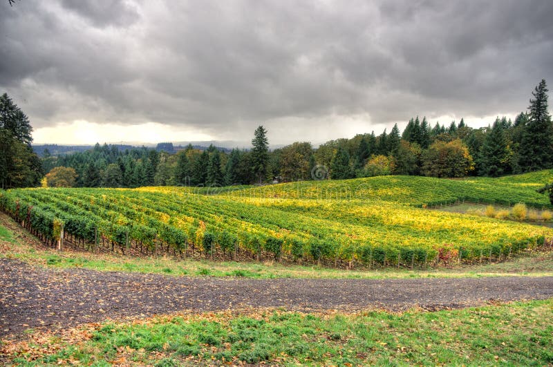 Oregon Countryside stock photo. Image of scenic, rural - 92129378
