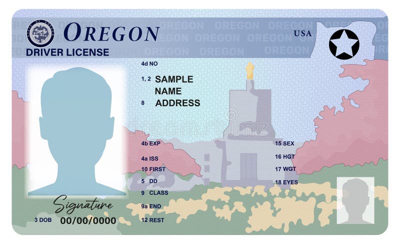 Oregon Driver S License Isolated on White Background. Person State ...