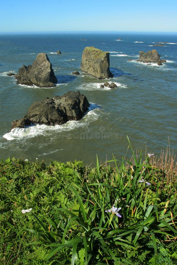 Oregon coast portraits stock image. Image of coast, landmark - 1734967
