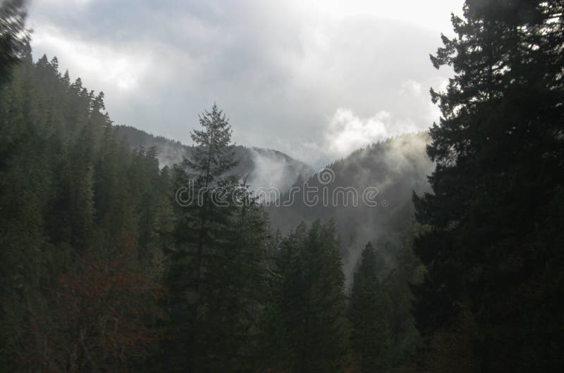 Oregon Mist stock image. Image of rising, river, inversion - 84567983