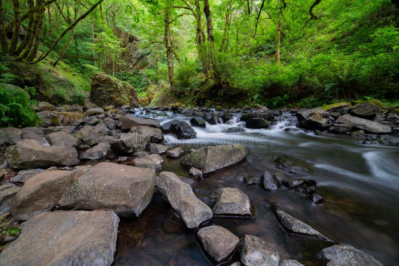 Oregon Mountain River in the Forest Stock Photo - Image of river, calm ...