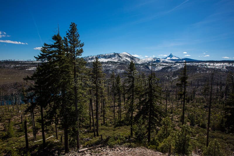 Oregon mountain scenery stock photo. Image of scenery - 69676822