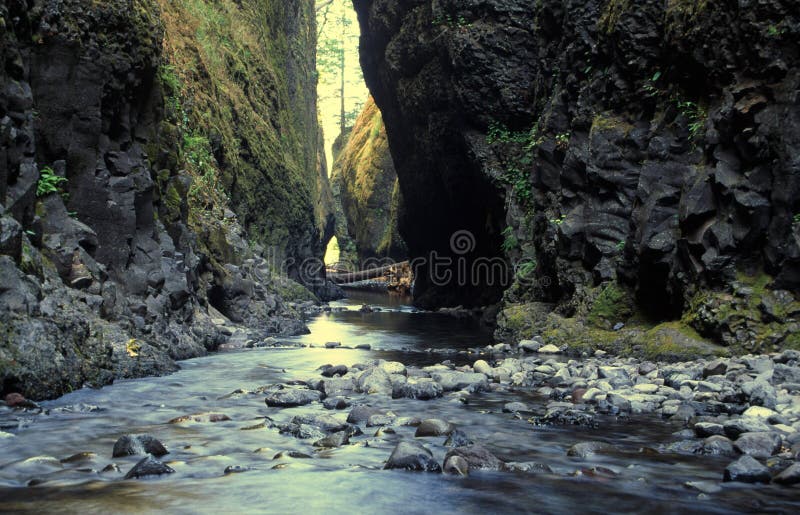Oregon portraits stock image. Image of columbia, travel - 2257807
