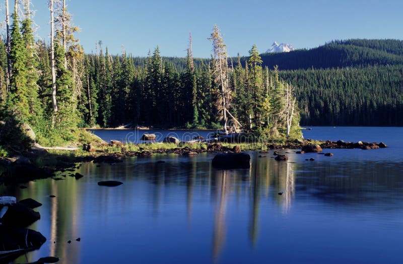 Oregon portraits stock image. Image of beauty, tourism - 2257893