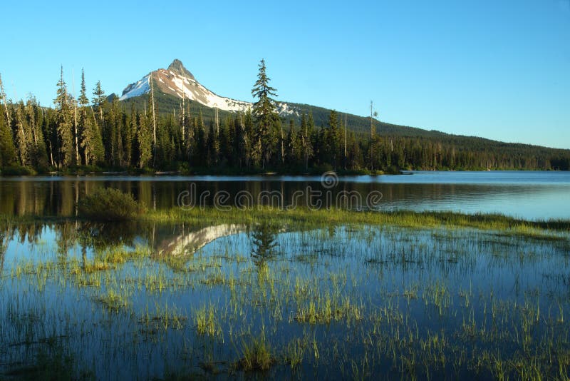 Oregon coast portraits stock image. Image of mountains - 1582579
