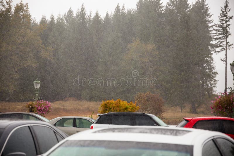 Oregon Rain Storm Weather stock photo. Image of wedding - 61473894