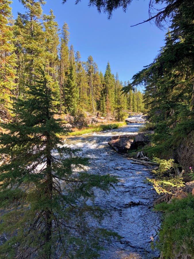 Cheryle Myers (Myersct) - Photographer profile