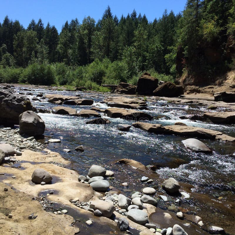 Oregon Rivers stock photo. Image of oregon, coast, rivers - 75216460