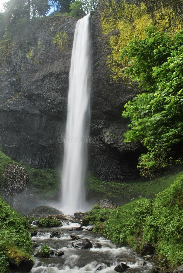 Oregon Silver Falls Waterfall Flowing into a River Stock Photo - Image ...