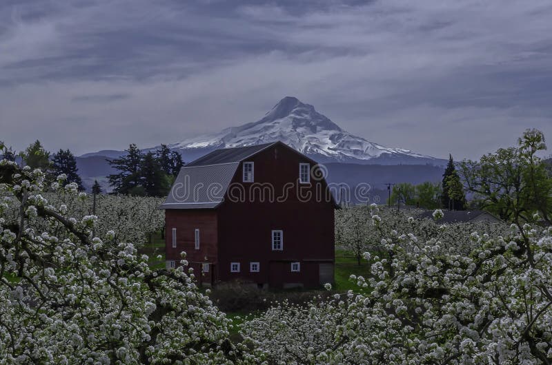 Oregon Spring stock photo. Image of bright, landmark - 59962104