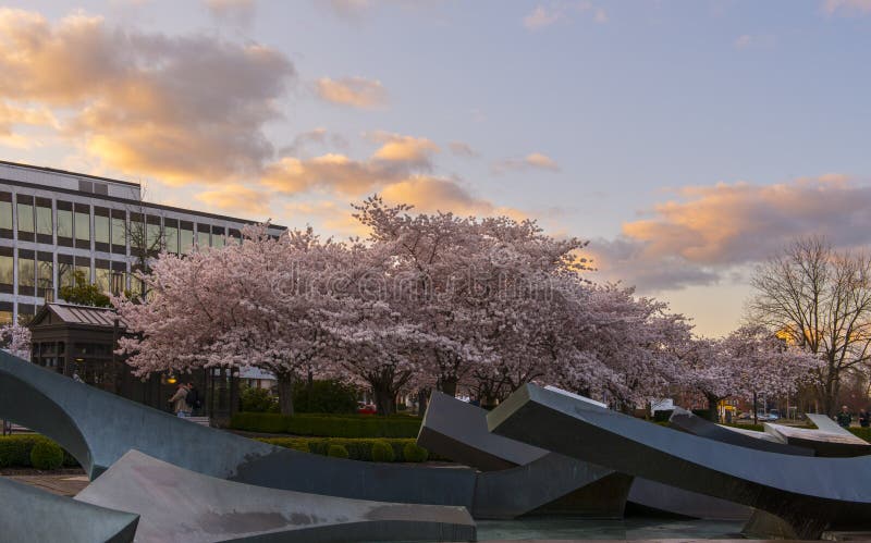 Oregon State Capitol Park editorial stock image. Image of park - 67801179