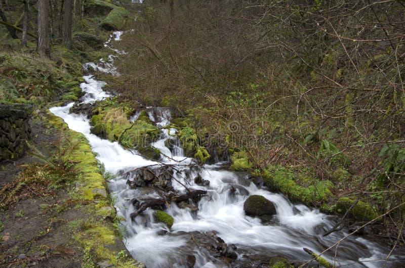 Waterfall and Old Trees in Oregon Stock Image - Image of waterfalls ...
