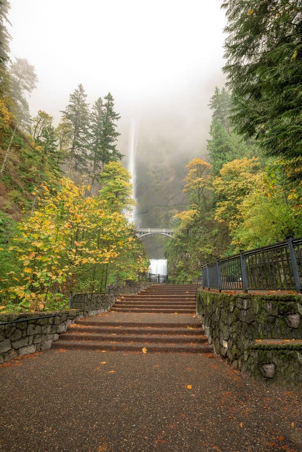 Oregon State Park View Point of Waterfall Stock Photo - Image of ...