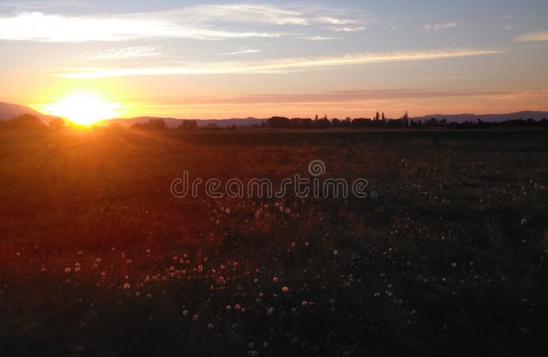 Oregon Summer Sunset stock image. Image of sunlight - 232438401