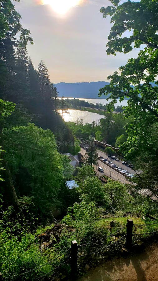 Oregon trail water stock photo. Image of leaf, green - 226348546