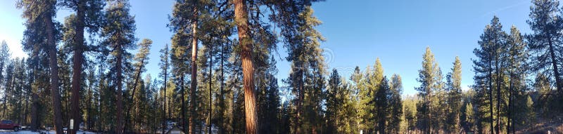 Oregon Vacation stock image. Image of rock, sunlight - 222358585