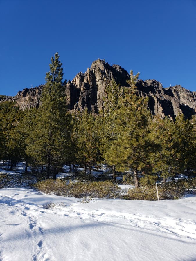 Oregon Vacation stock photo. Image of sunlight, water - 222357920