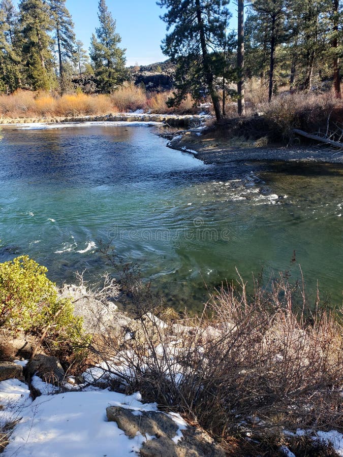 Oregon Vacation stock image. Image of freezing, tree - 222358161