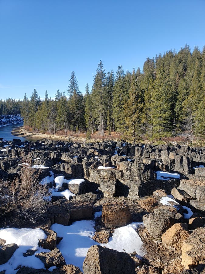 Oregon Vacation stock photo. Image of carving, leaf - 222358314