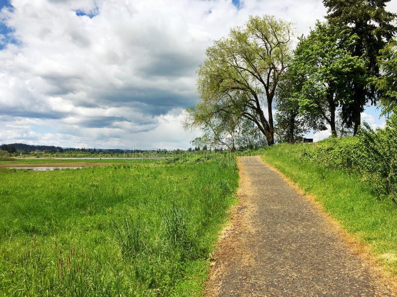 Oregon walking path stock image. Image of tualatin, hiking - 95877989