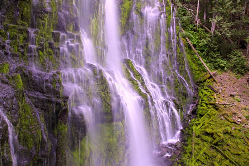Oregon water fall stock photo. Image of beautiful, nature - 10825668
