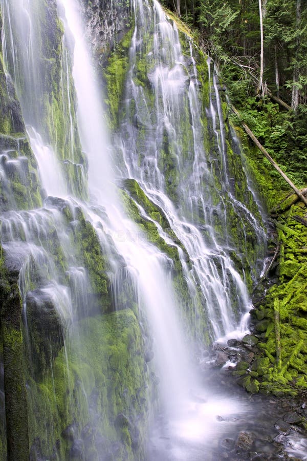 Oregon water fall stock photo. Image of natural, beauty - 10825672