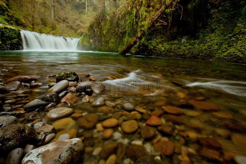 Oregon Waterfall stock image. Image of pine, landscape - 56239963