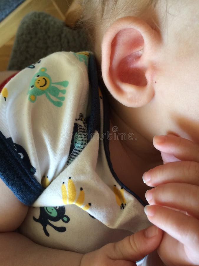 Oreille de Babys image stock. Image du mignon, grange - 57732209