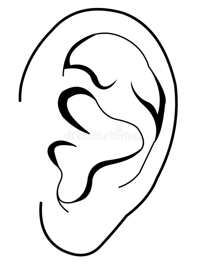 Oreille humaine illustration de vecteur. Illustration du audition ...
