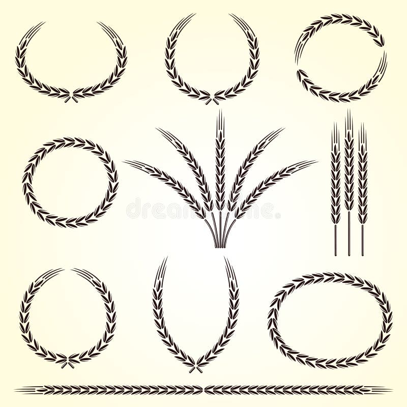 Oren Van Tarwe En Roggereeks Vector Vector Illustratie - Illustration ...