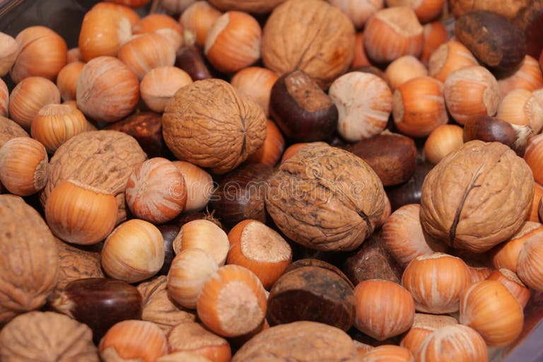 Orexia Stock Illustrations – 1 Orexia Stock Illustrations, Vectors ...