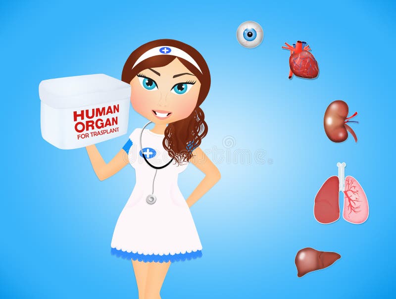 Orgaandonor Voor Transplantatie Stock Illustratie - Illustration of ...