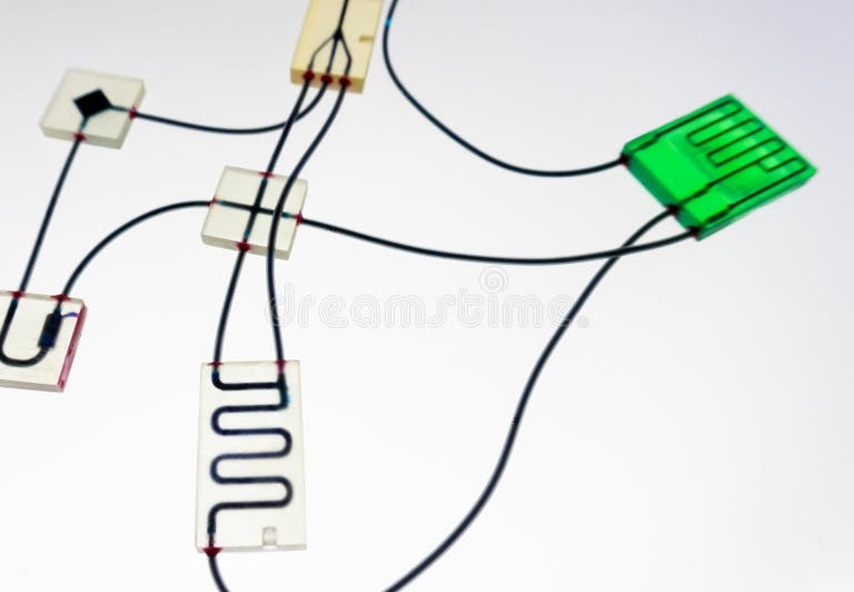 Organ-on-a-chip (OOC) - Microfluidic Device Chip that Simulates ...