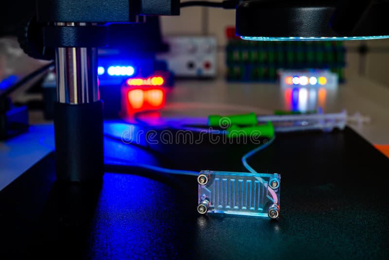 Organ-on-a-chip OOC - Microfluidic Device Chip that Simulates ...