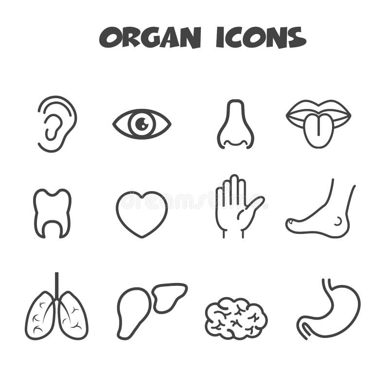 Five senses line icons stock vector. Illustration of outline - 69375748