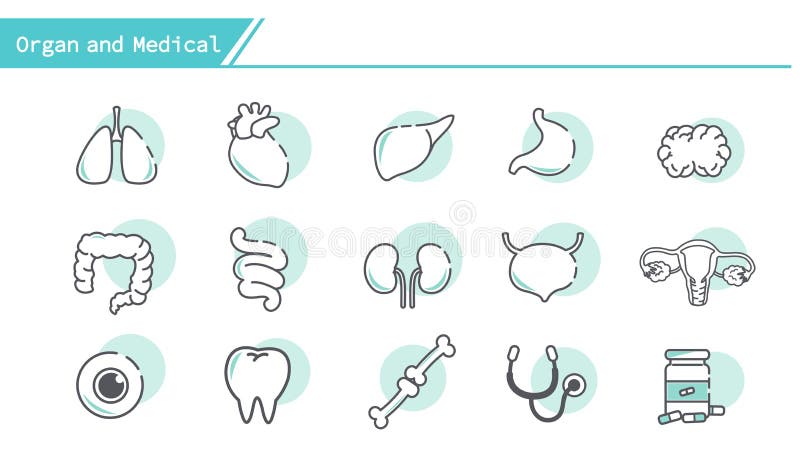 Set of Contour Icons with Human Organs Stock Vector - Illustration of ...