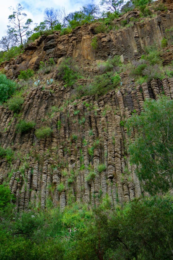 Organ Shaped Hill with Wild Plants Stock Photo - Image of lake, organ ...