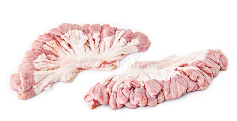 Organes internes de porc photo stock. Image du lard, affermage - 97774374
