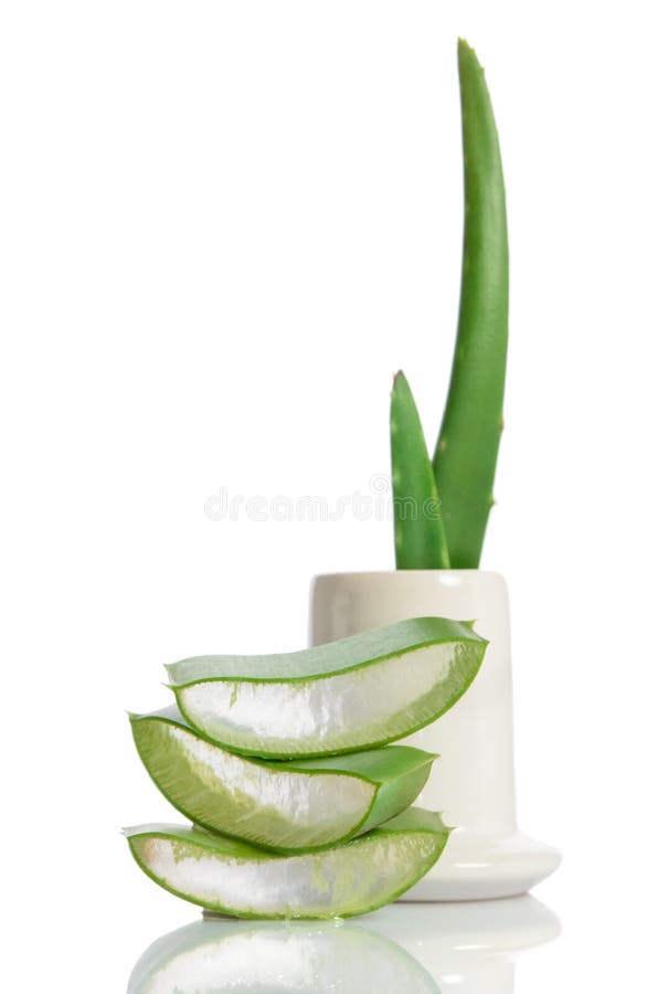 Organic aloe vera stock photo. Image of homeopathy, drop - 66017762