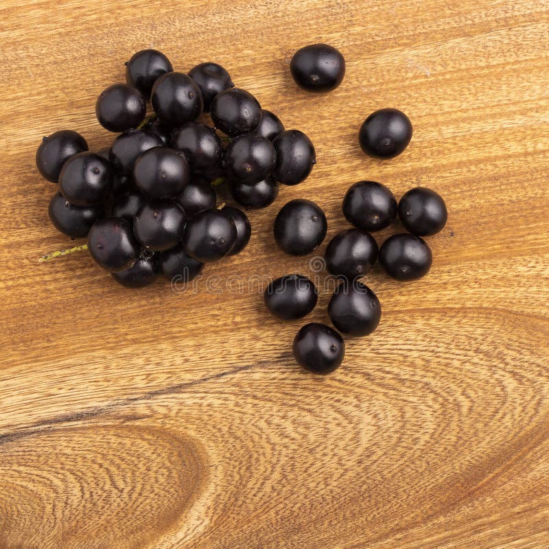 Organic Amazonian Acai Berries - Euterpe Oleracea Stock Image - Image ...
